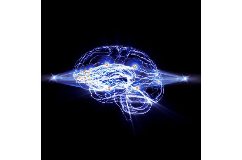 Streamline Business Data and Forecasting - Cloud Brigade